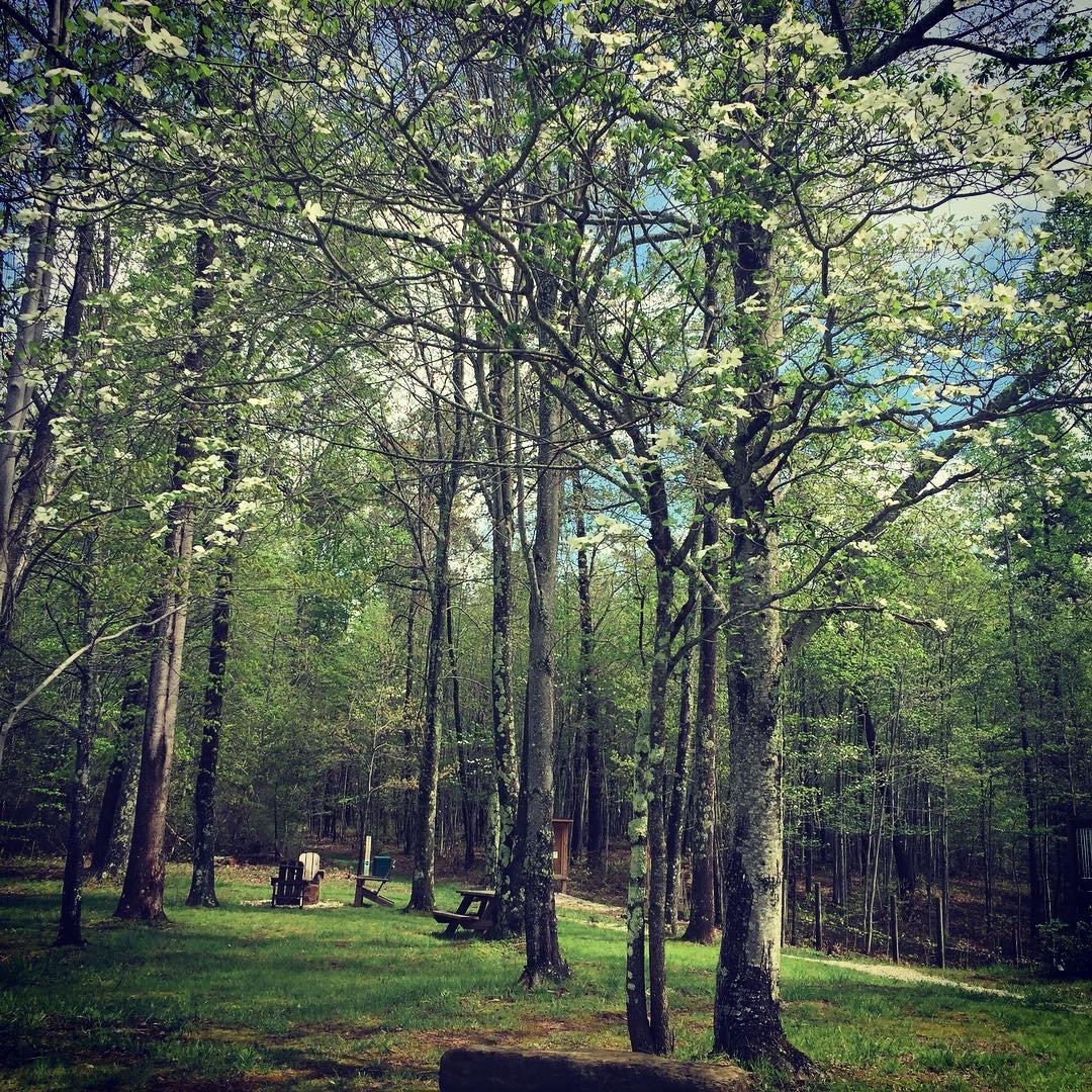 Chestnut Ridge Winery